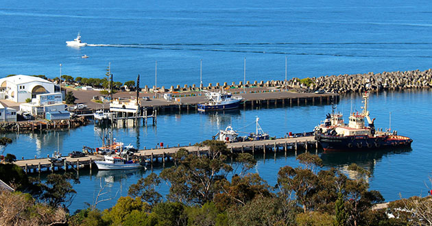 Best Eden (Australia) Cruise Shore Excursion & Tour Reviews - Cruise Critic