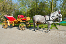 11 BEST Portland, ME Shore Excursions: Things to Do, Cruise Day Tour ...